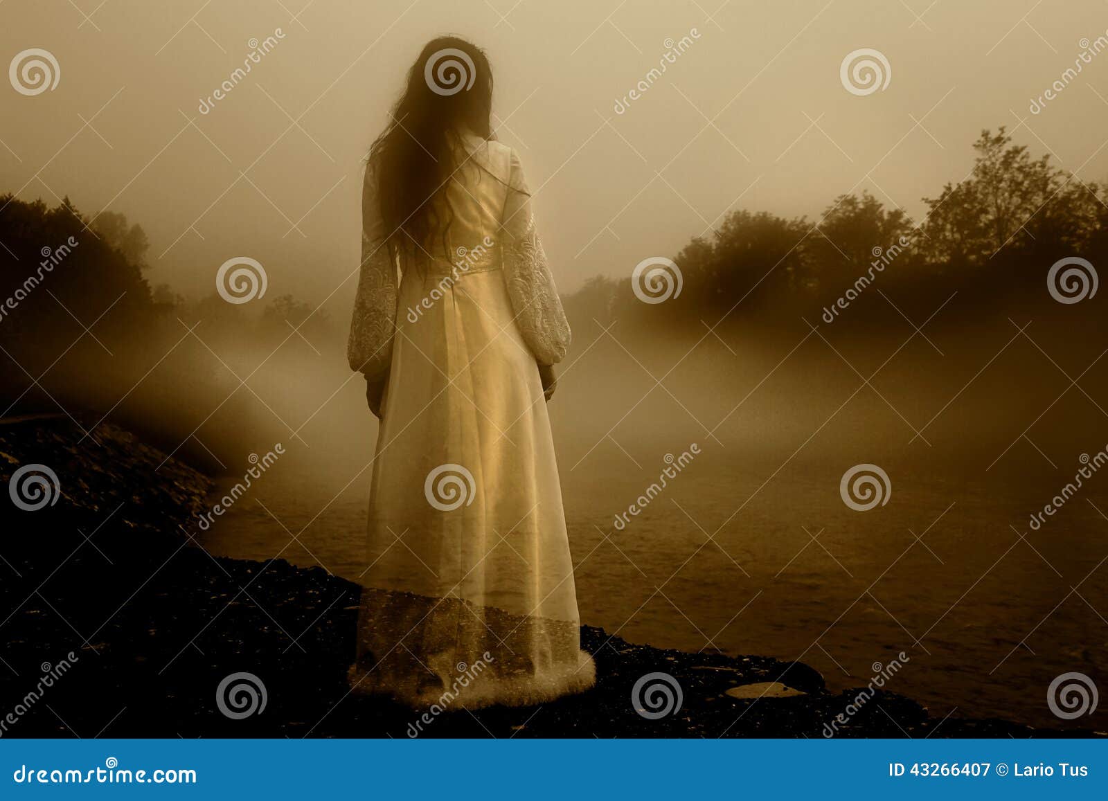 Mysterious Woman in the Mist Stock Image - Image of dark, death: 43266407