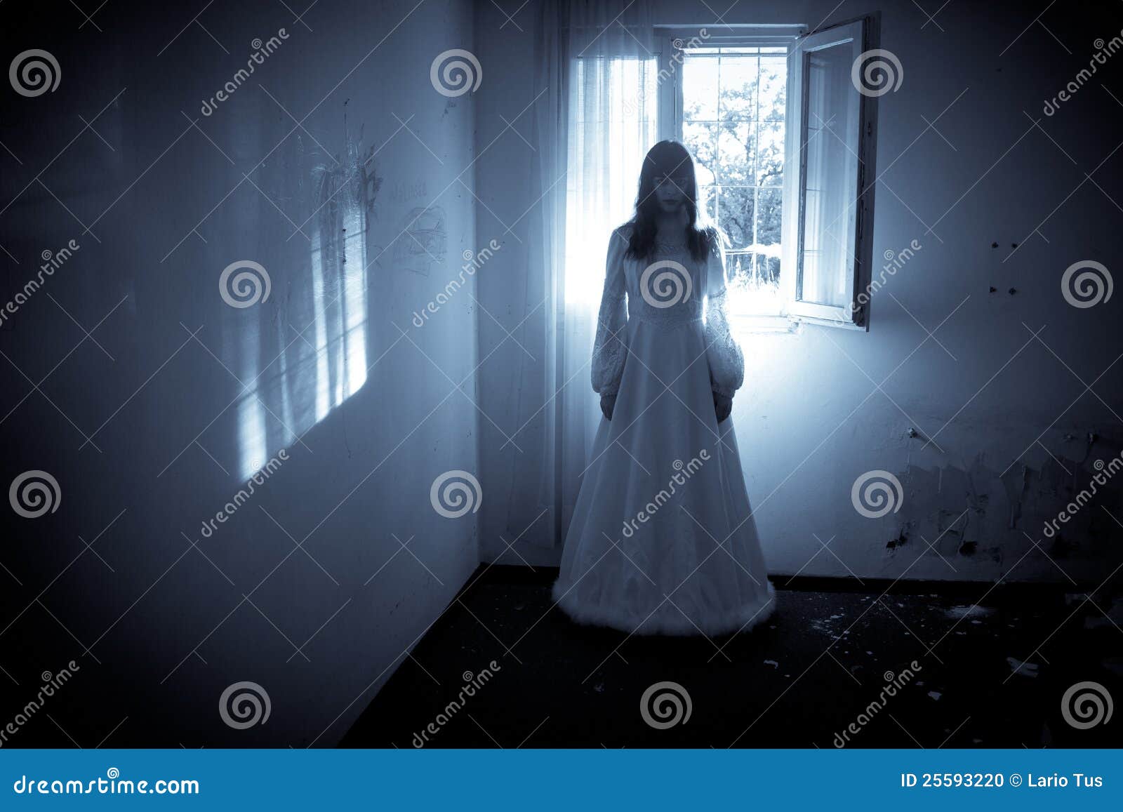 Mysterious Womans Ghost stock photo. Image of marina - 25593220