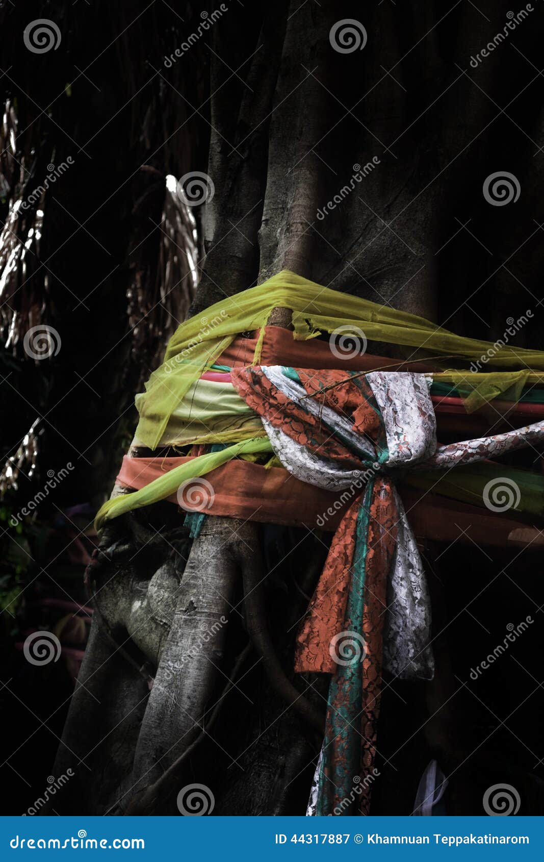 Mystery scene. stock image. Image of mystery, shocking - 44317887