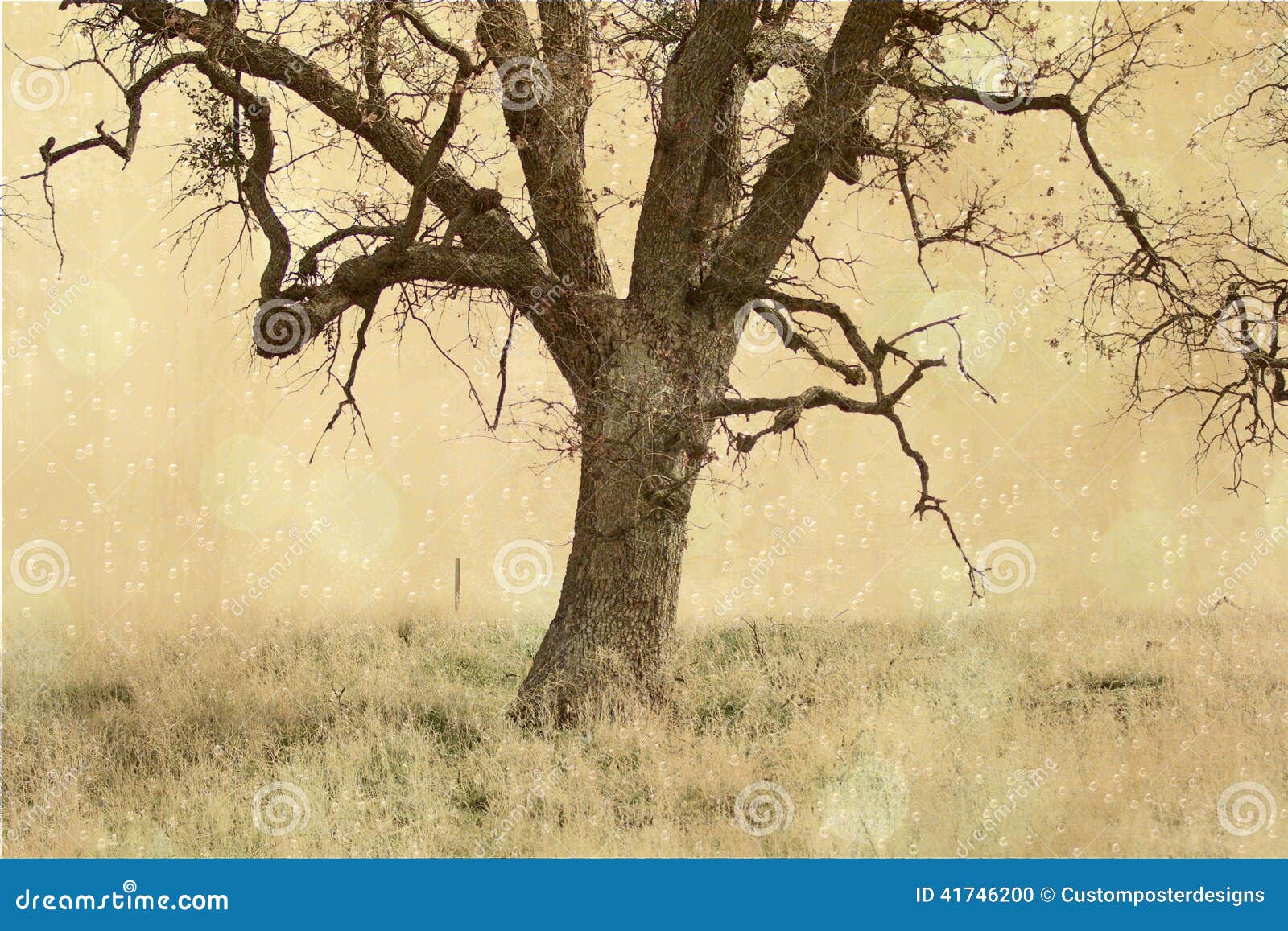 The mystery tree. stock photo. Image of floating, background - 41746200