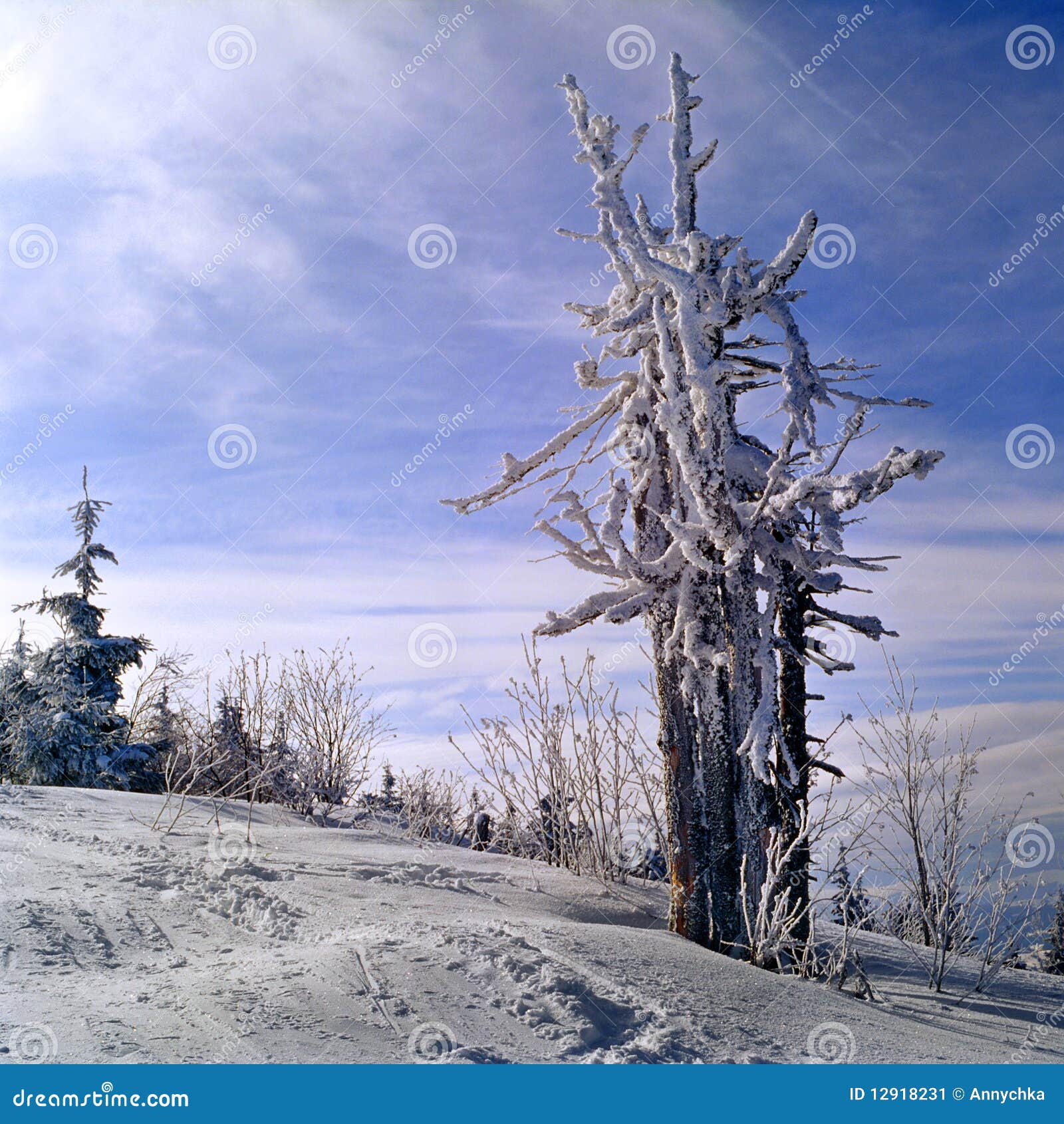 The Mystery of Ukrainian Winter Stock Image - Image of solitude, snow ...