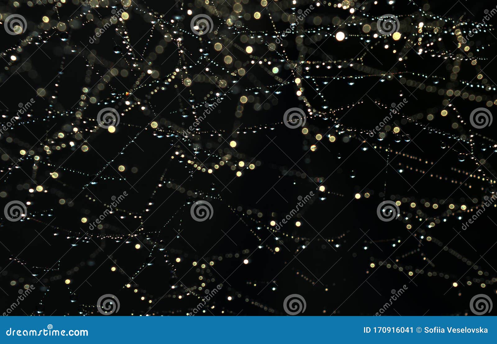 Mystery of Web Light. Imagination. Stock Image - Image of drops ...