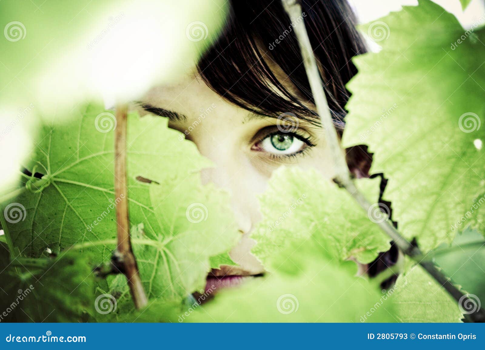Mystery woman stock image. Image of eyed, mystery, brunette - 2805793