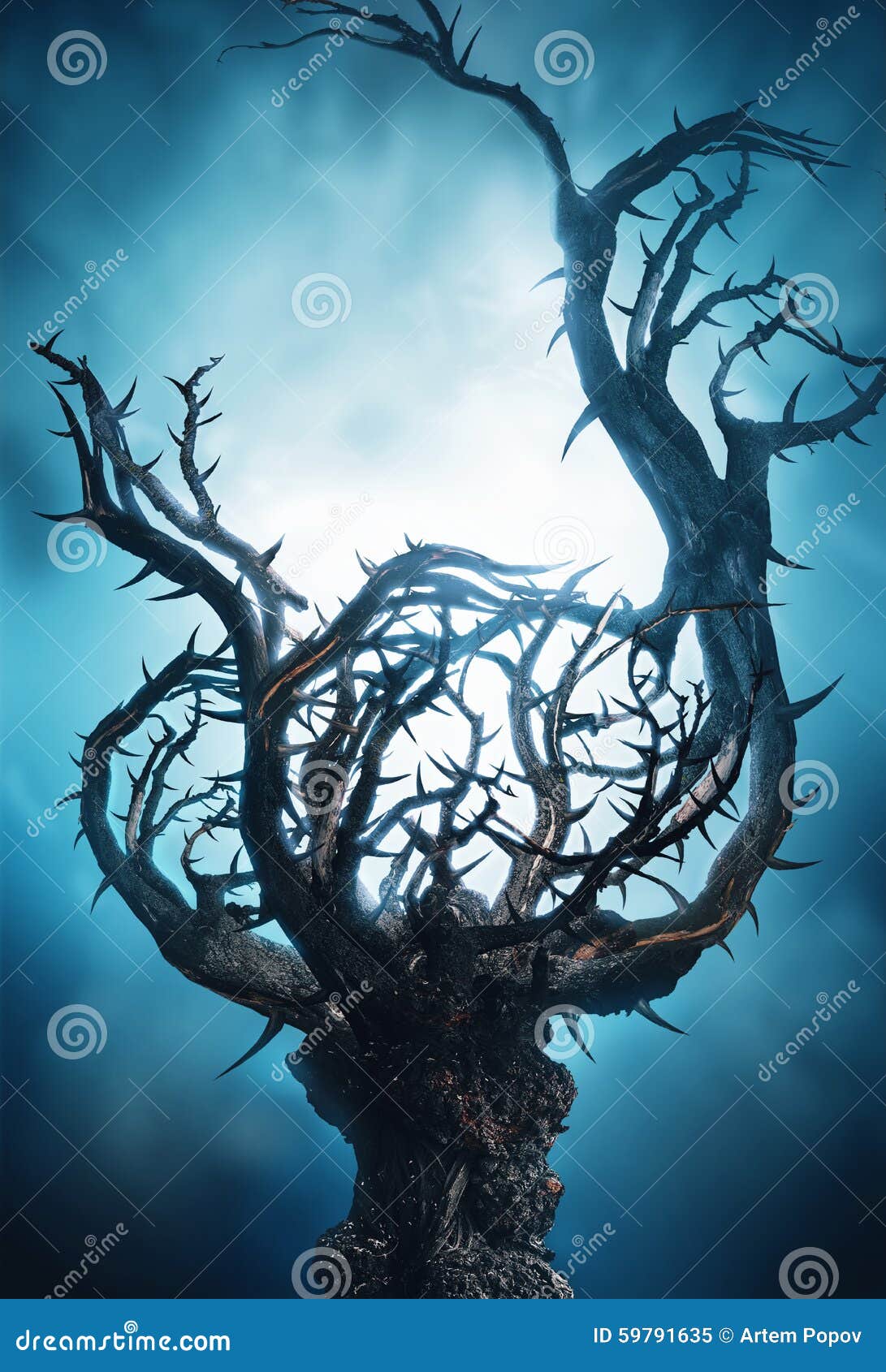 Thorns Tree Stock Illustrations – 997 Thorns Tree Stock Illustrations ...