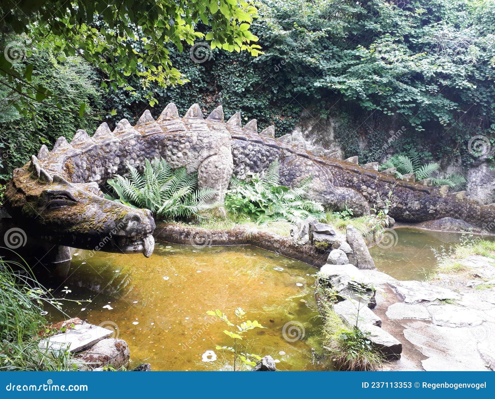 Mystic dragon in a pond stock image. Image of pond, green - 237113353