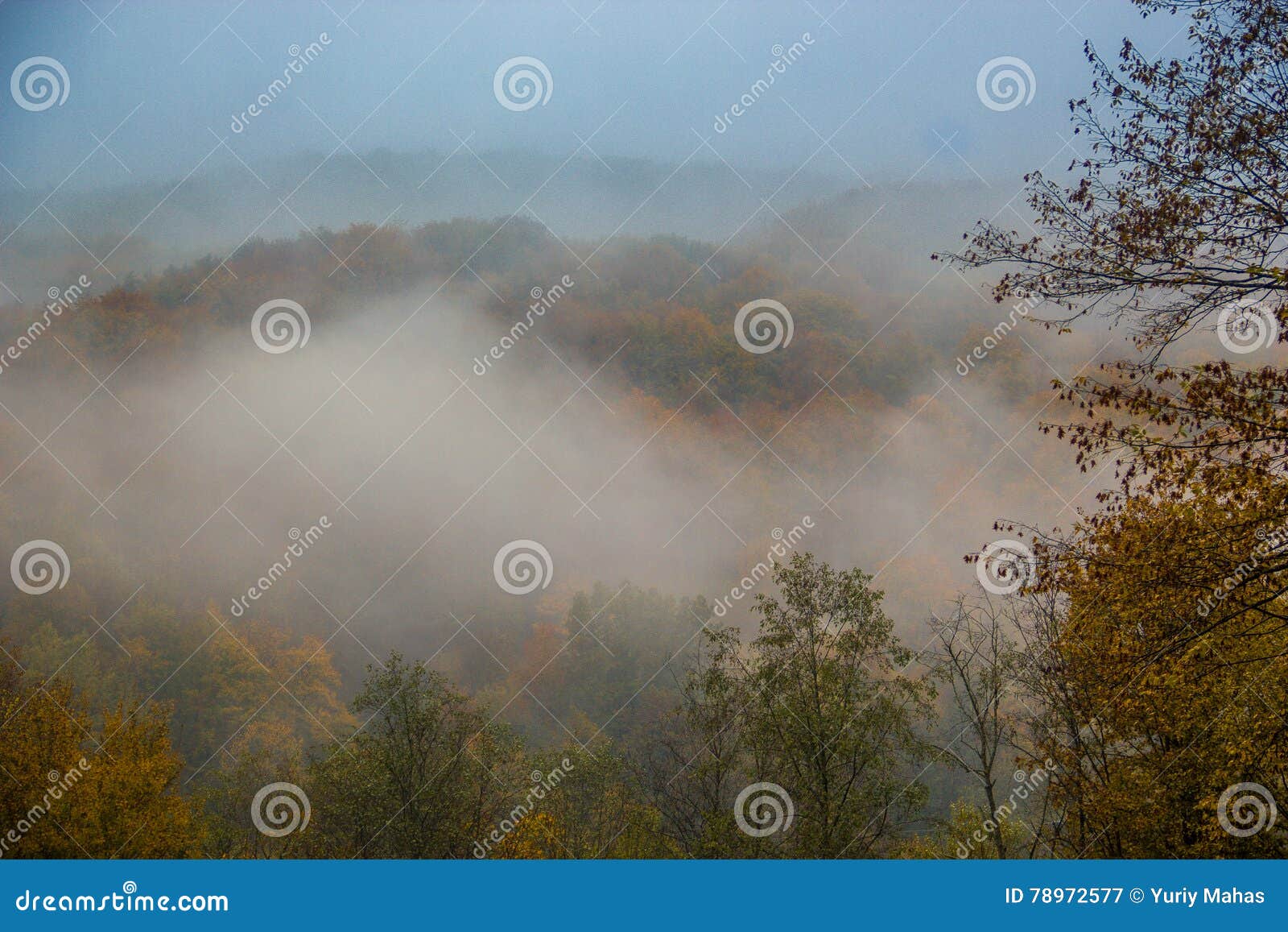 Mystic Fog in the Mountains Stock Image - Image of forest, cold: 78972577