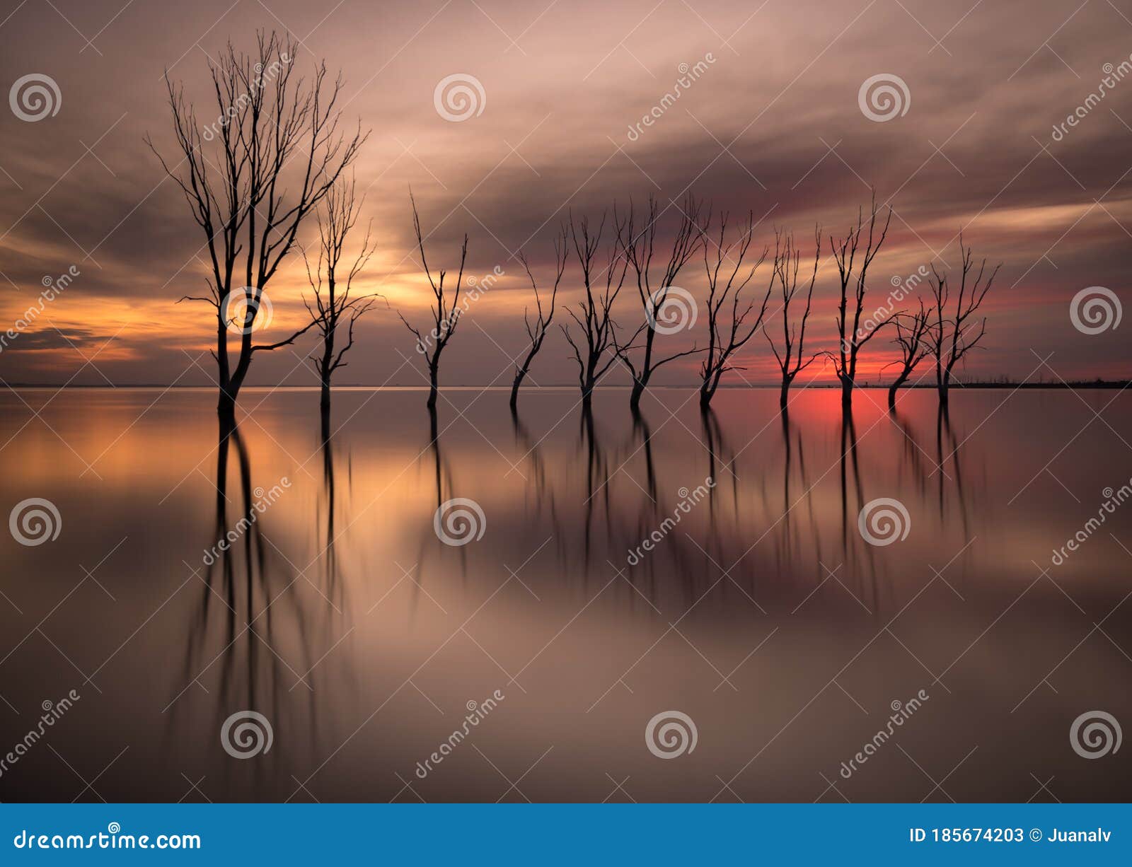Mystic Lake Red and Dead Trees Stock Image - Image of landscape, dead ...
