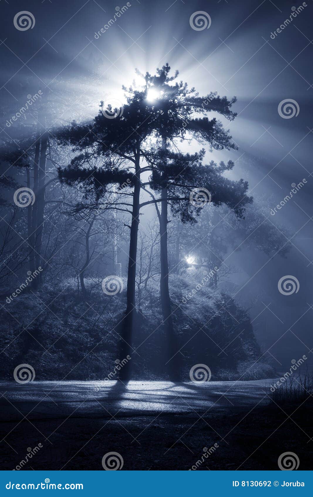 Mystic lights stock photo. Image of light, blue, mystical - 8130692