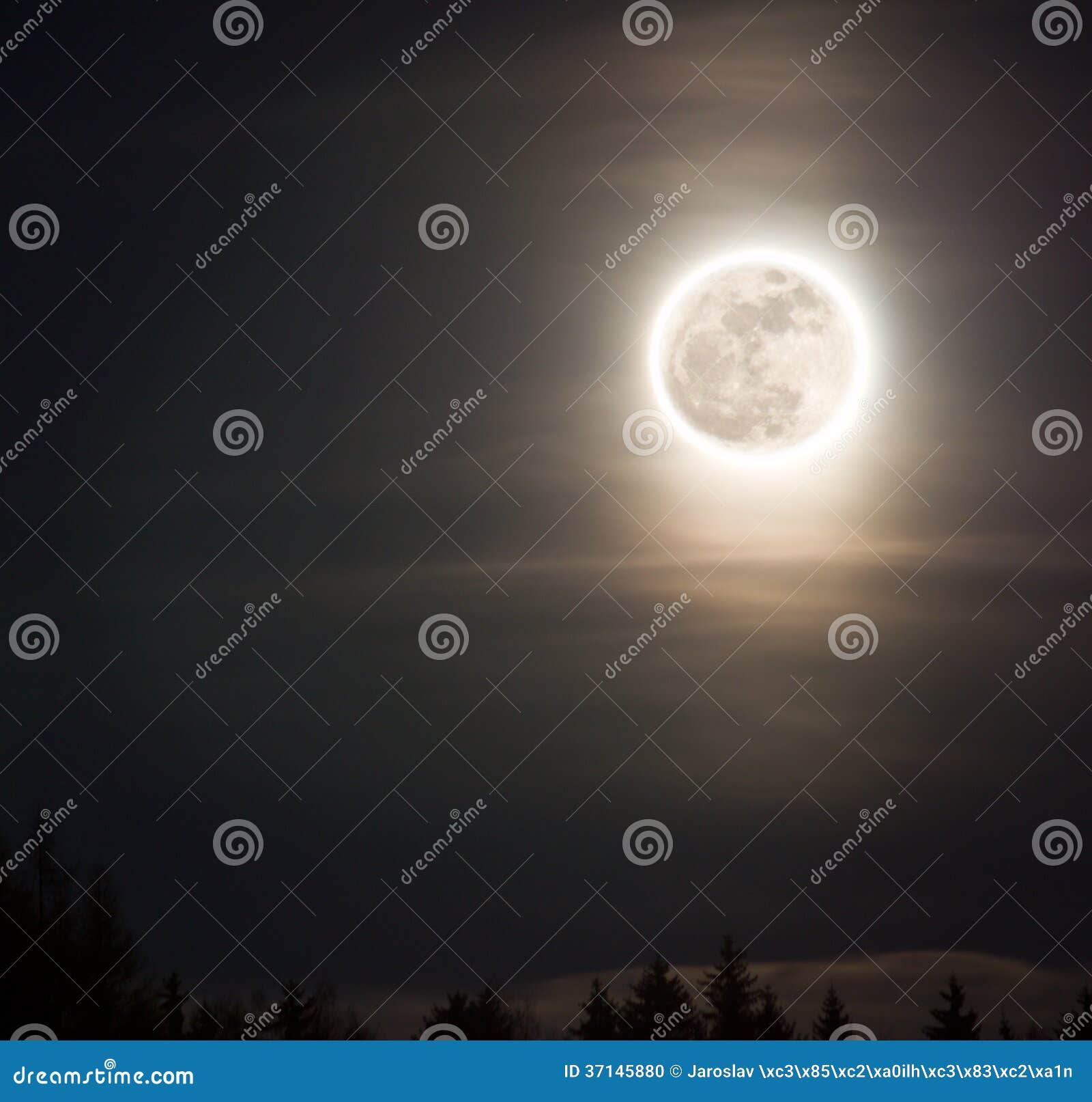 Mystic moon stock photo. Image of fantasy, forest, imagination - 37145880
