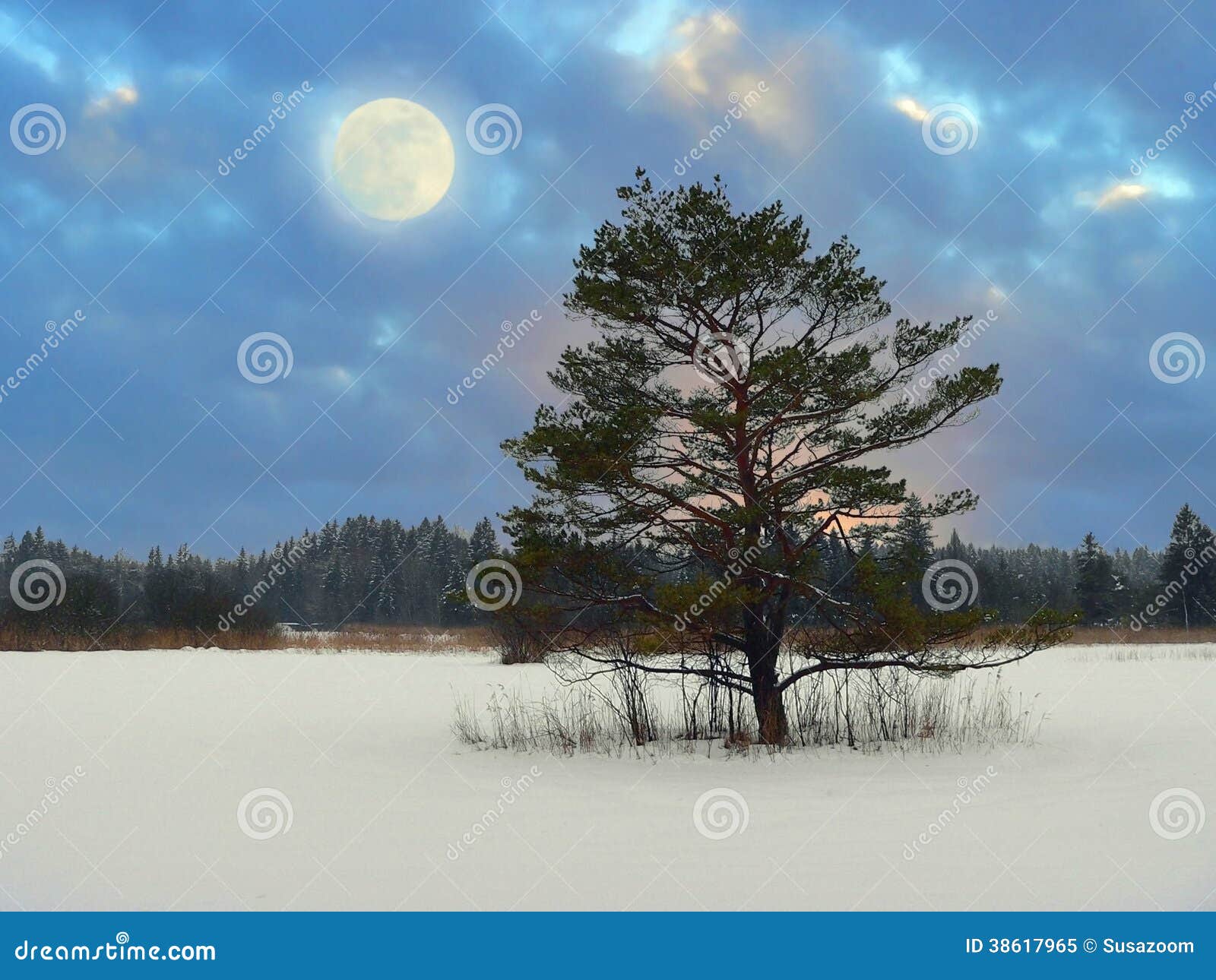 Mystic Moonlight Scenery in the Moor Stock Image - Image of darkness ...