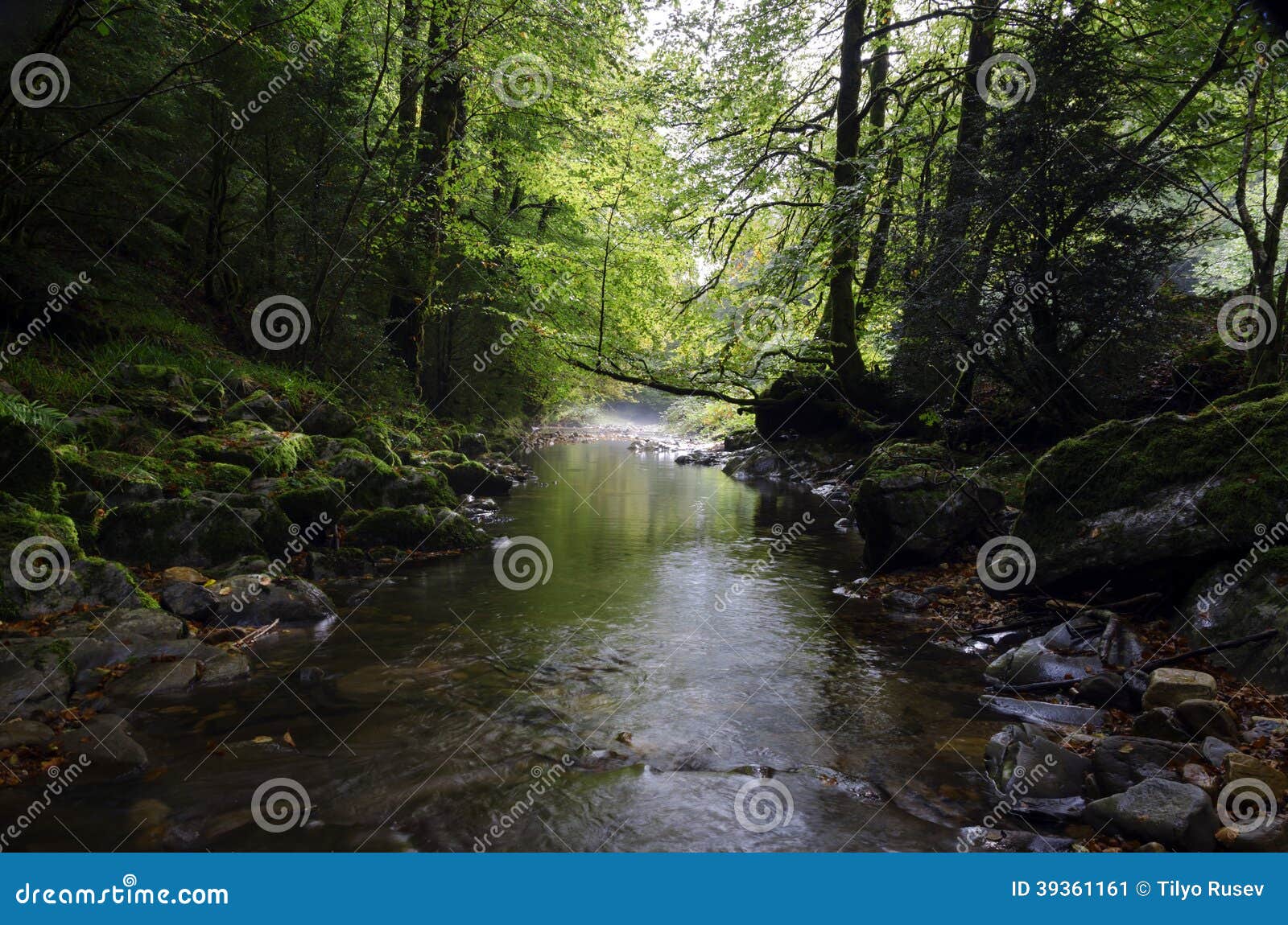 Mystic spring stock image. Image of nature, place, stones - 39361161