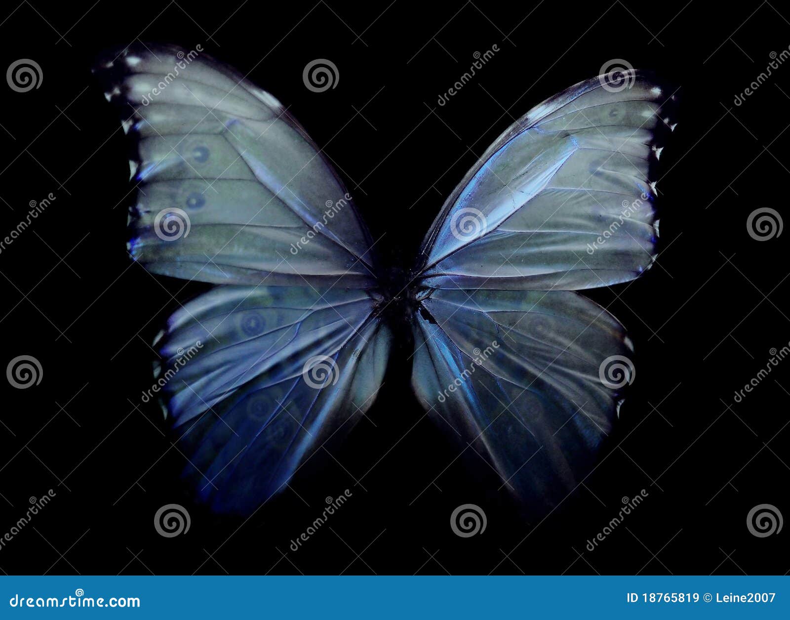 Mystical butterfly stock image. Image of dark, mystical - 18765819