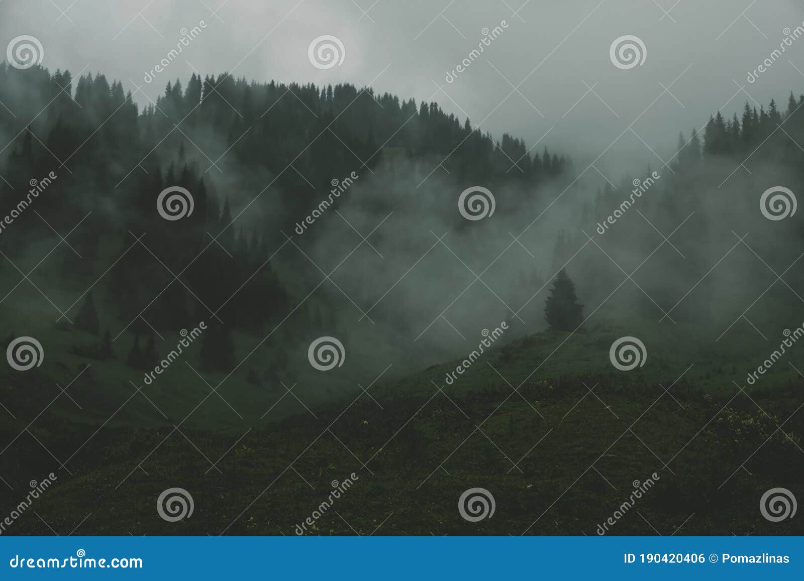 Mystical Dark Forest Ancient Scary Tree, Magical, Creepy Horror, Gothic ...