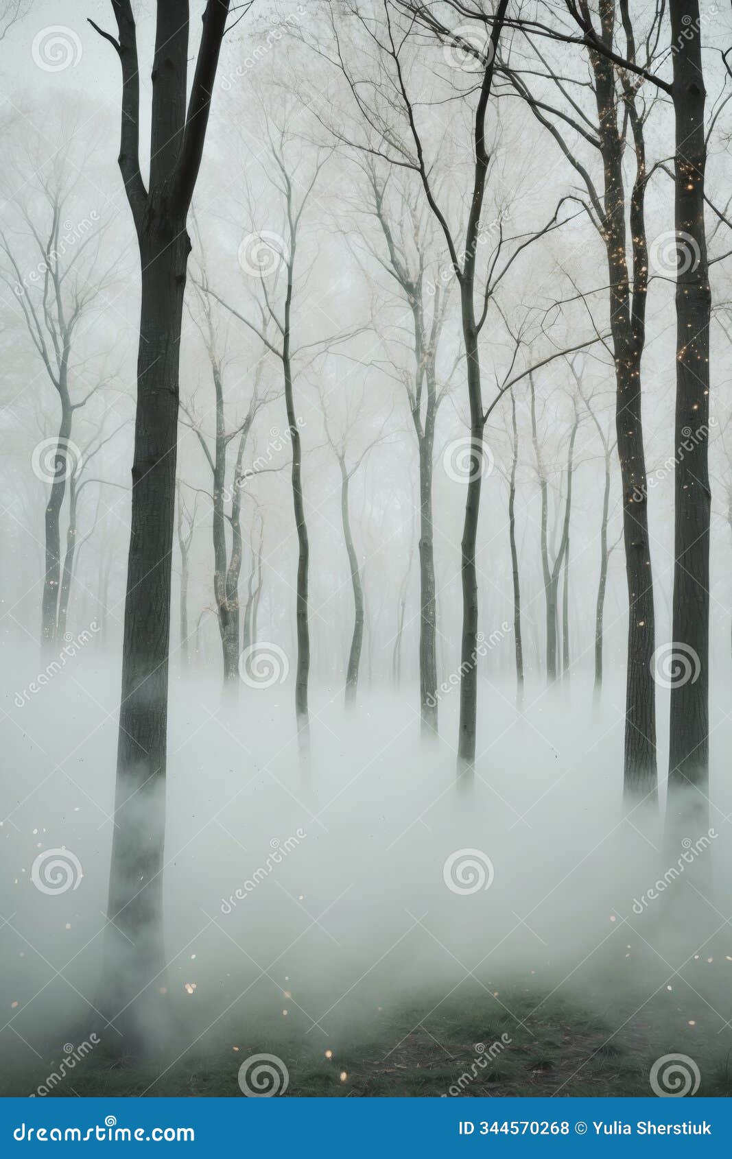 Mystical Forest with Glowing Particles and Fog. Stock Illustration ...