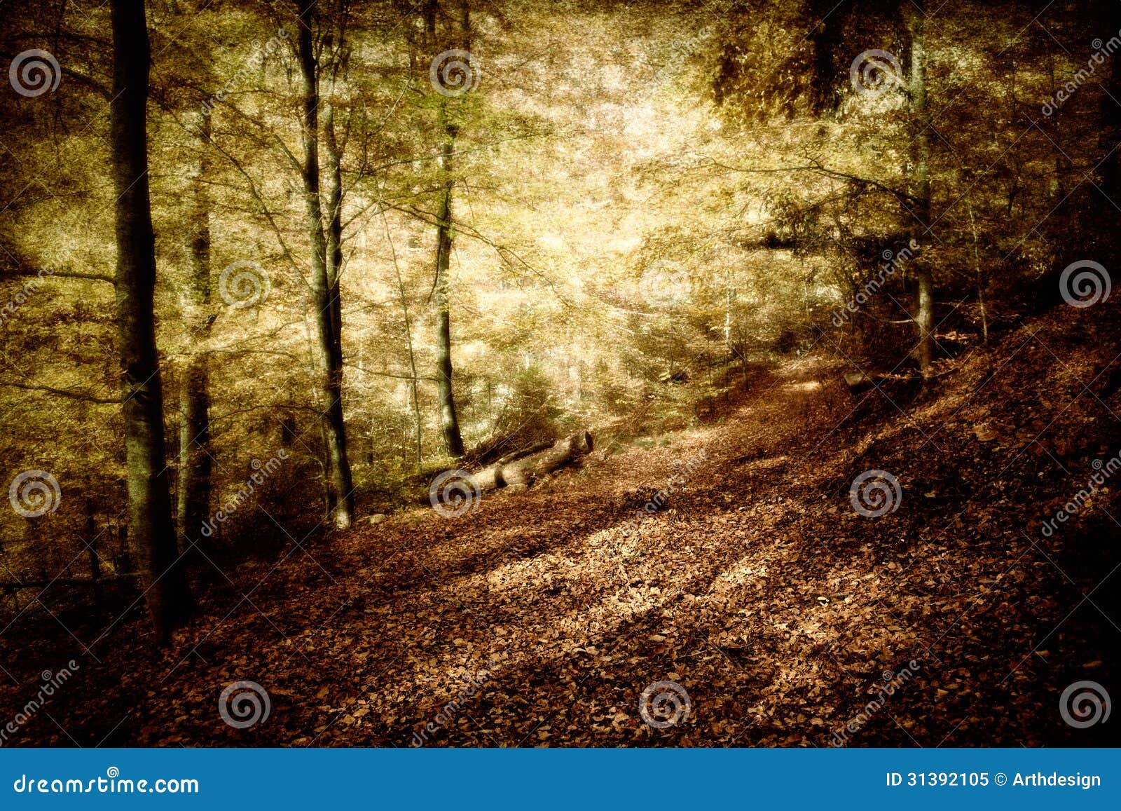 Mystical forest stock image. Image of fall, tree, colorful - 31392105