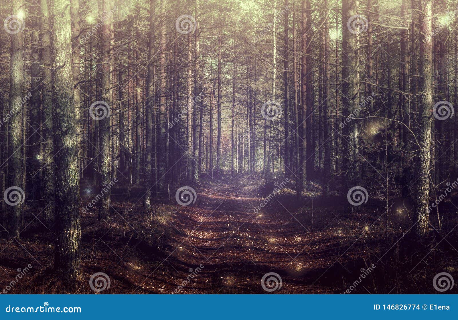Mystical Forest Landscape with Magical Light Stock Photo - Image of ...