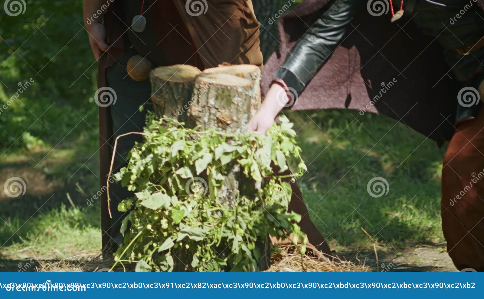 Mystical Fraternal Rite on the Blood of Two Warriors. the Priestess and ...