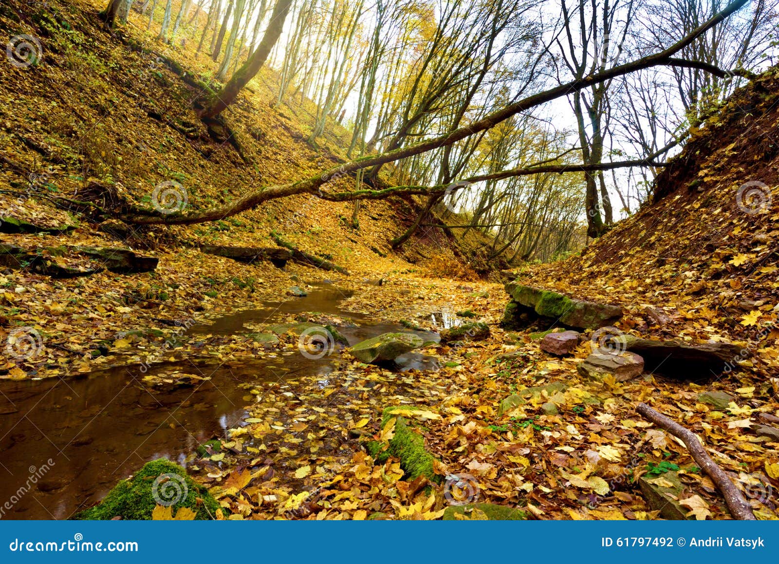 Mystical Landscape in the Autumn Forest (light, Good and Evil, E Stock ...