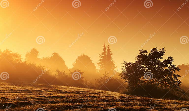 Mystical Landscape at Sunrise Stock Image - Image of light, forest: 9810371