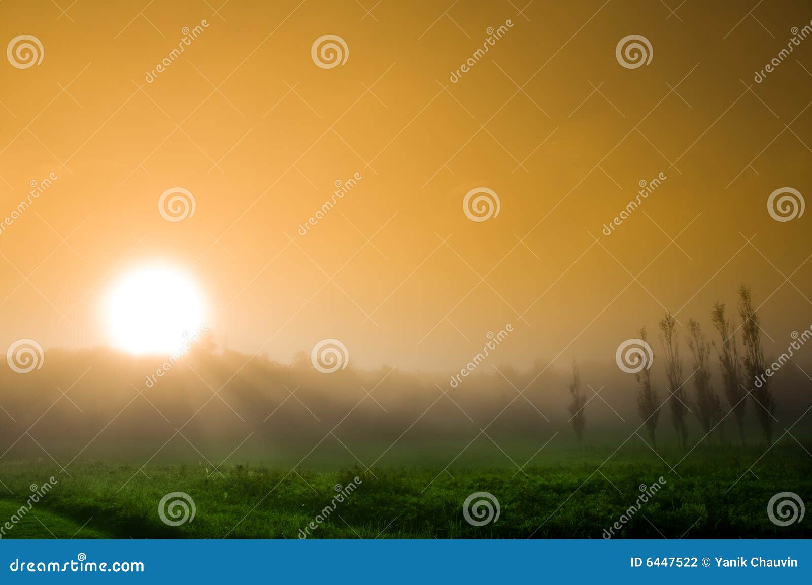 Mystical Morning stock photo. Image of magical, fresh - 6447522