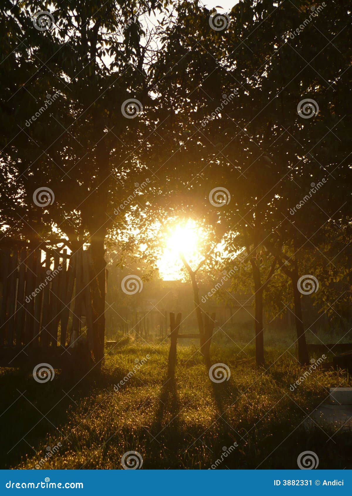 Mystical morning light stock image. Image of grass, sunlight - 3882331