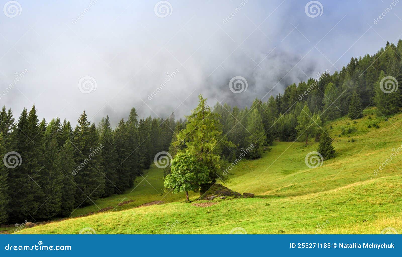 A Mystical Morning in the Mountains. Misty Alpine Landscape Stock Image ...