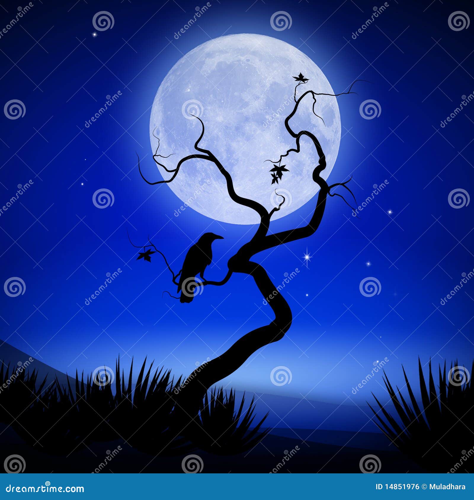 Mystical Night Full Moon Tree Raven Stock Illustrations – 8 Mystical ...