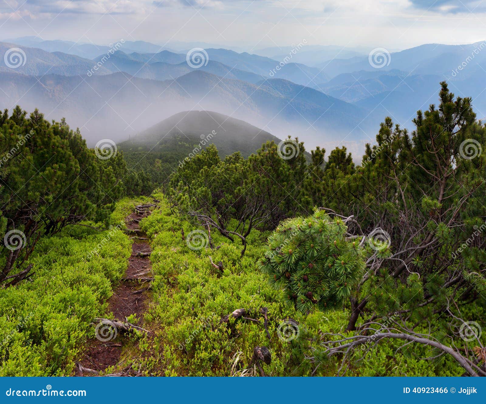 Mystical Path in Misty Mountains Stock Photo - Image of journey ...