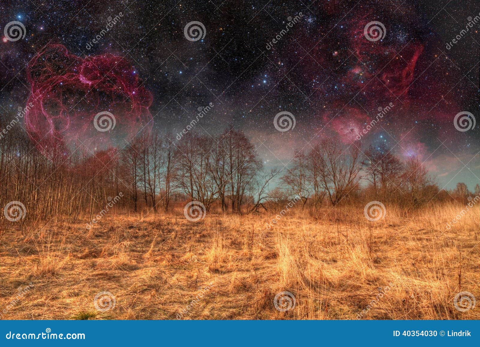 Mystical spring night. stock photo. Image of africa, nature - 40354030