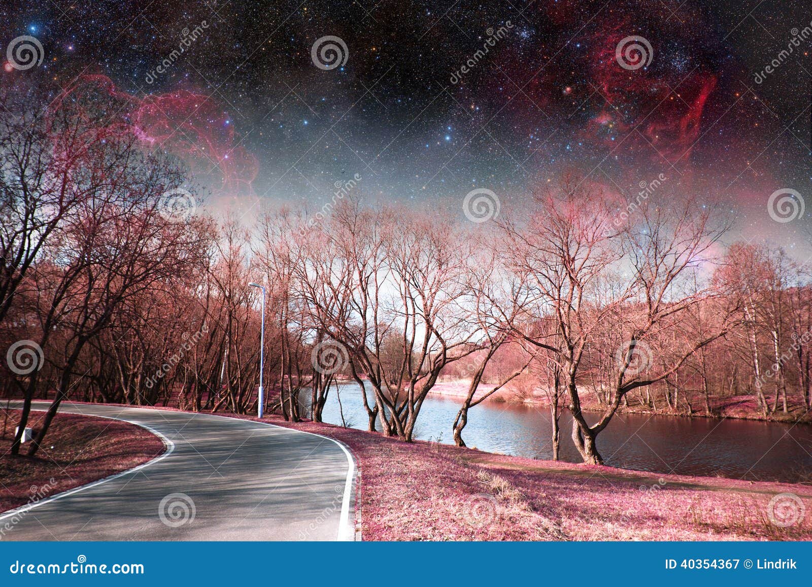 Mystical spring night. stock image. Image of night, mystical - 40354367