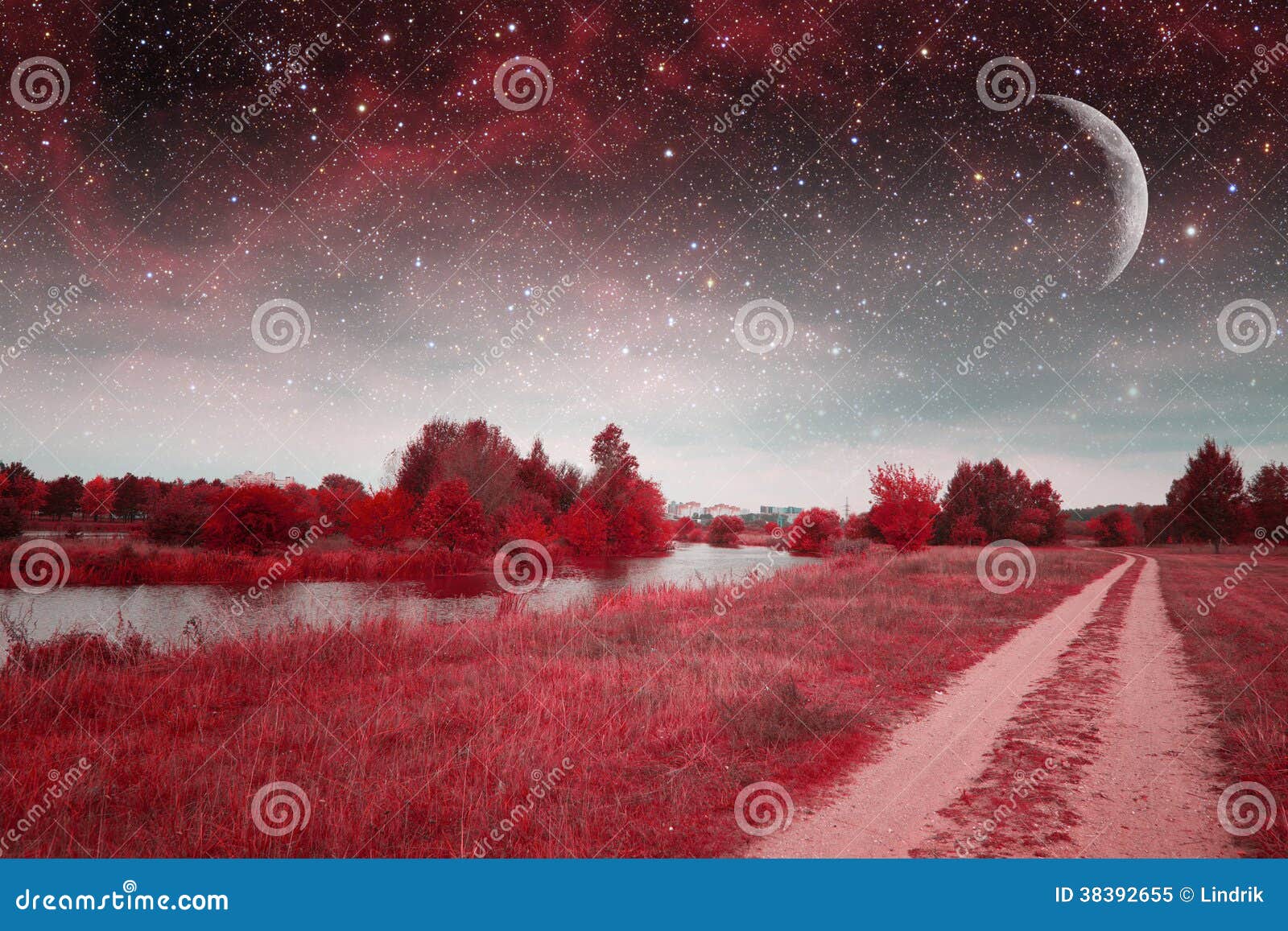 Mystical spring night. stock image. Image of forest, colorful - 38392655