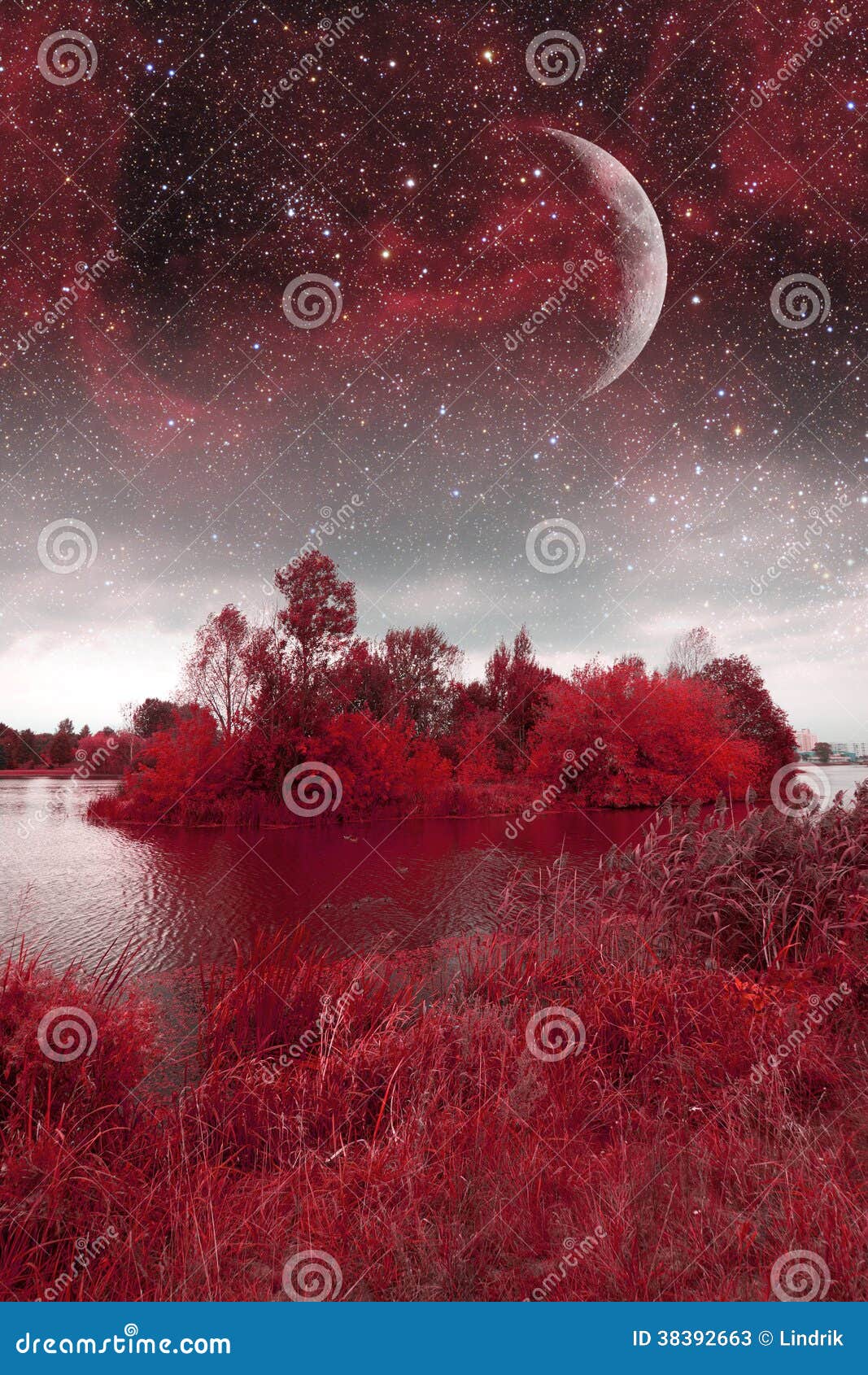 Mystical spring night. stock image. Image of beautiful - 38392663