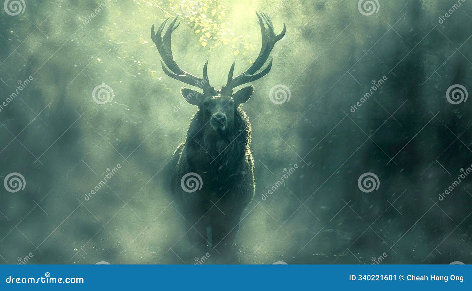 Mystical Stag in Enchanted Forest Stock Illustration - Illustration of ...