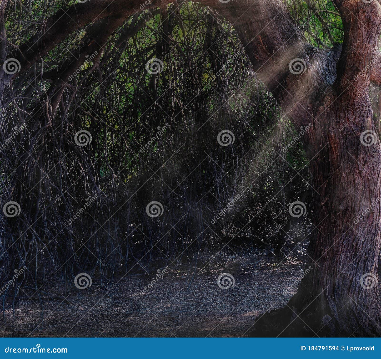 Mystical Tree stock photo. Image of magic, fairytale - 184791594