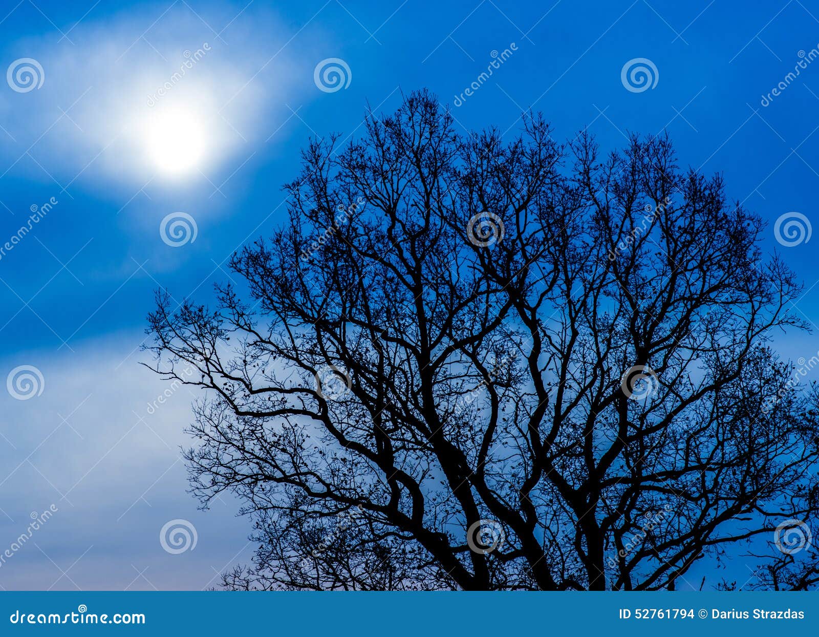 Mystical tree at night stock photo. Image of magnificent - 52761794