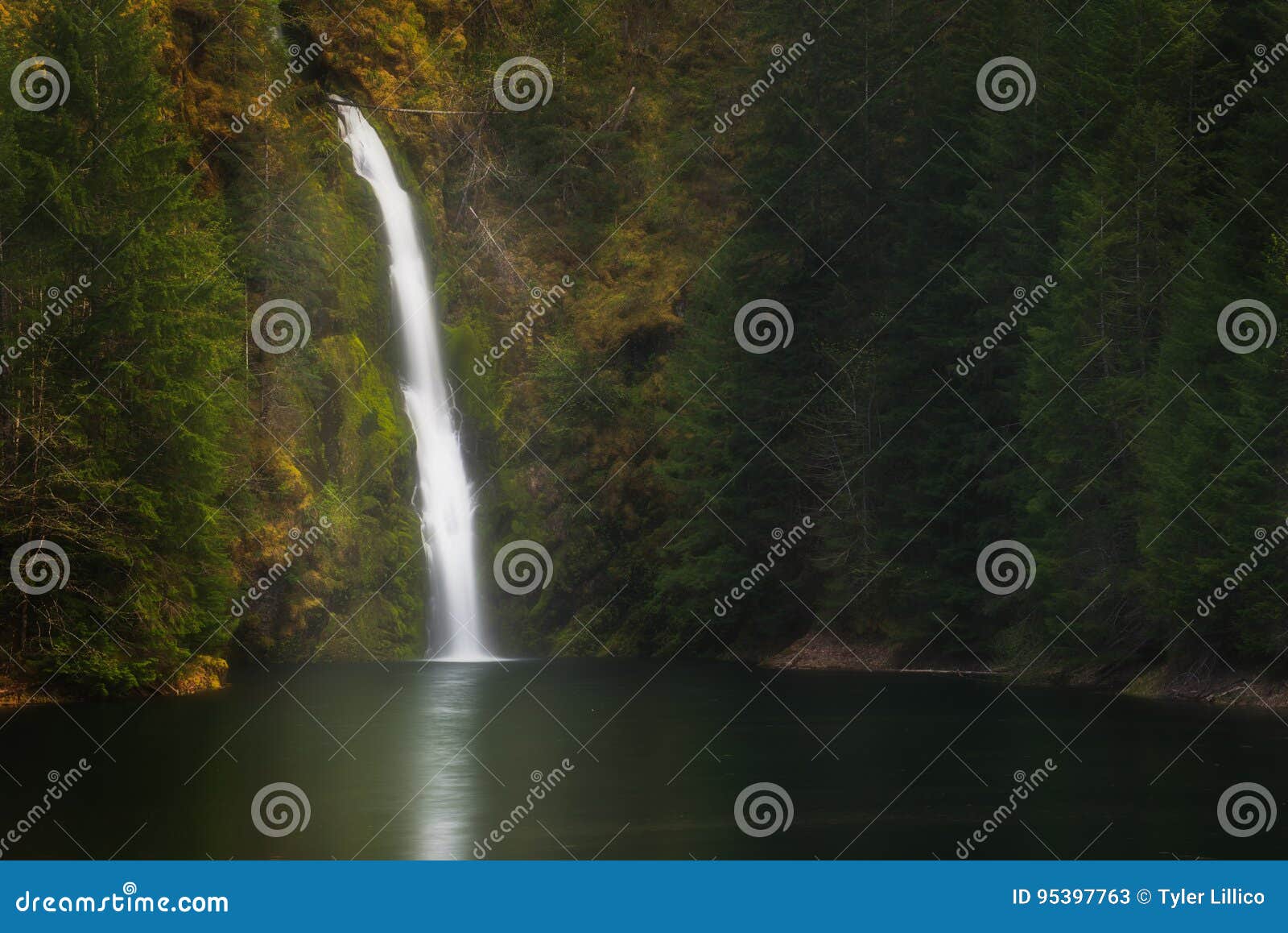 Mystical Waterfall in Lush Green Forest of Oregon USA Stock Image ...