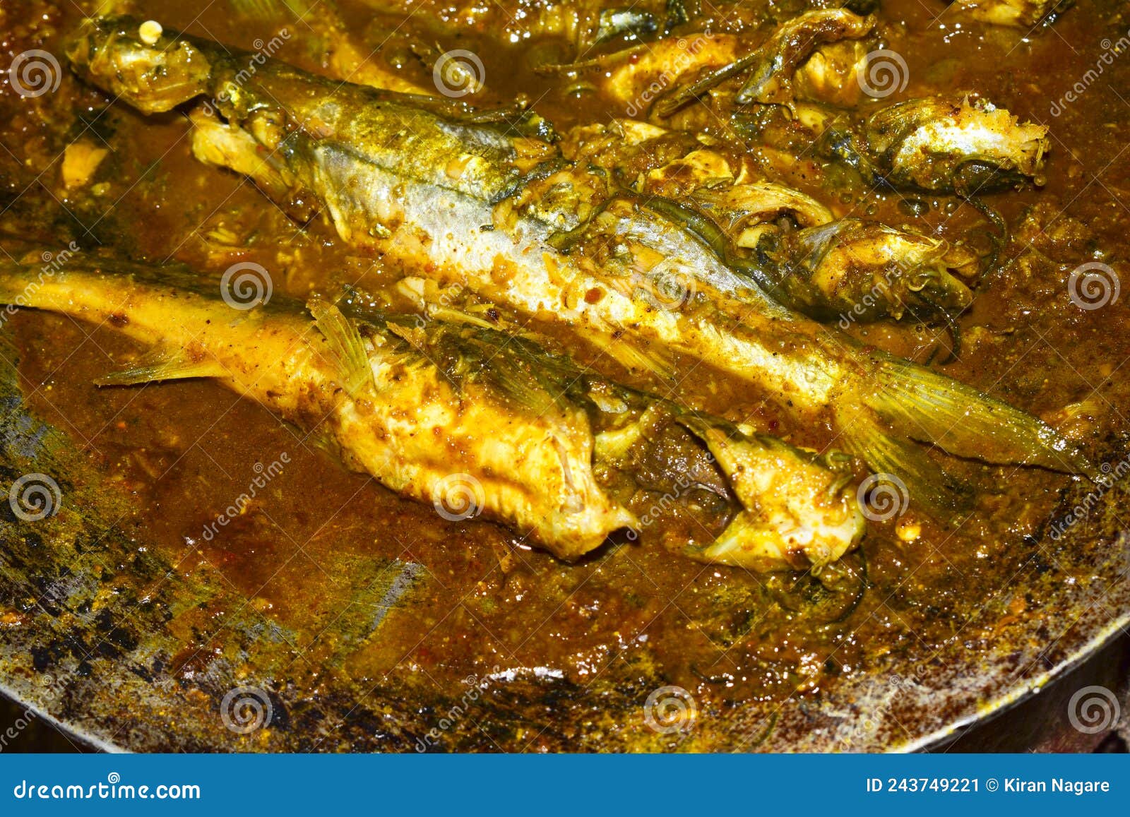 Mystus fish stock image. Image of mystus, predator, diet - 243749221