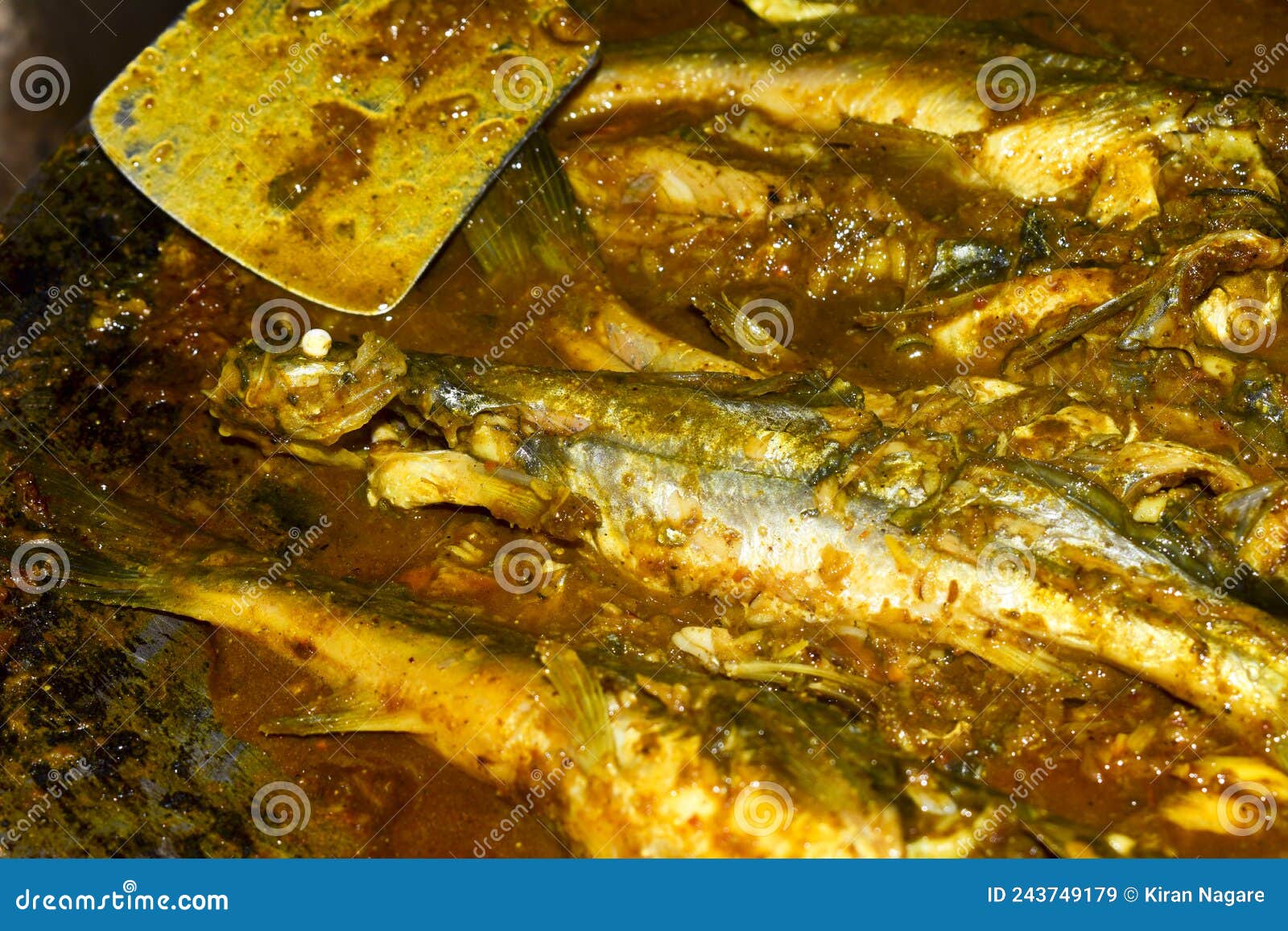 Mystus fish stock image. Image of dwarf, closeup, backdrop - 243749179