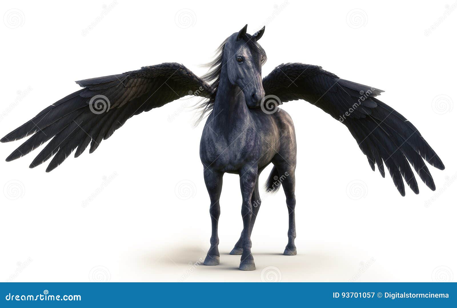 Black Pegasus Myth