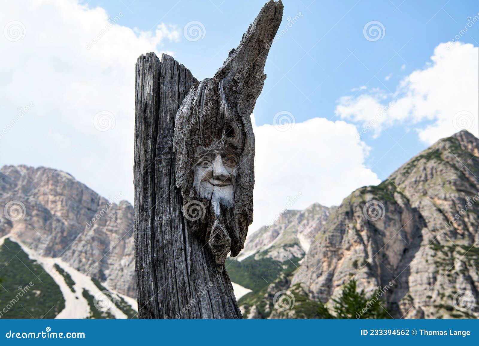 Mythical Creature on a Tree Trunk in the Alps Stock Photo - Image of ...