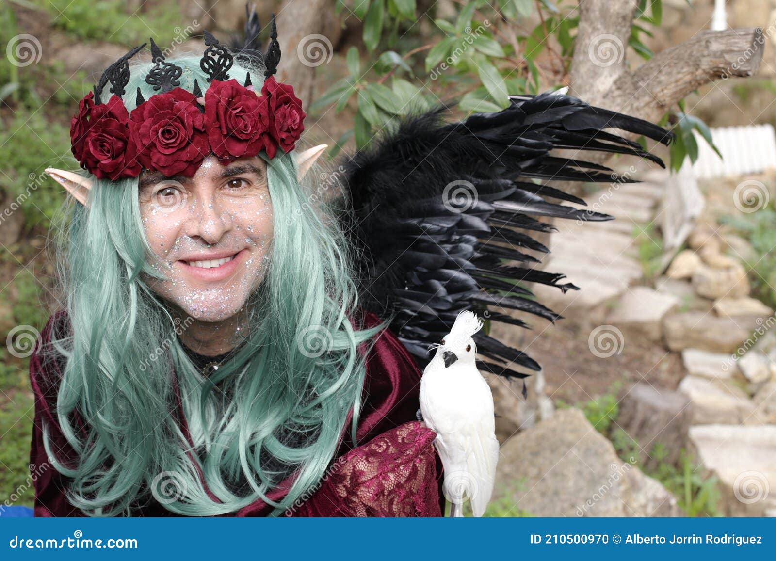 Mythical Male Elf in the Forest Stock Photo - Image of creature, black ...