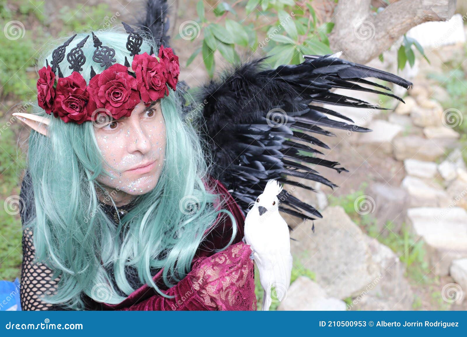 Mythical Male Elf in the Forest Stock Image - Image of magical ...
