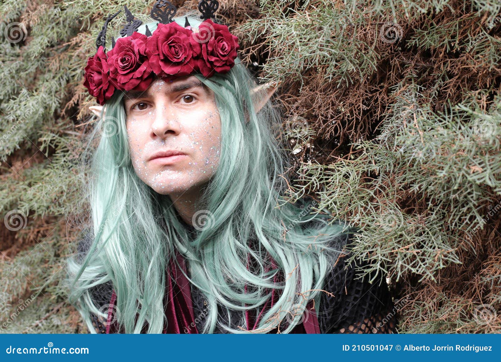 Mythical Male Elf in the Forest Stock Image - Image of androgynous ...