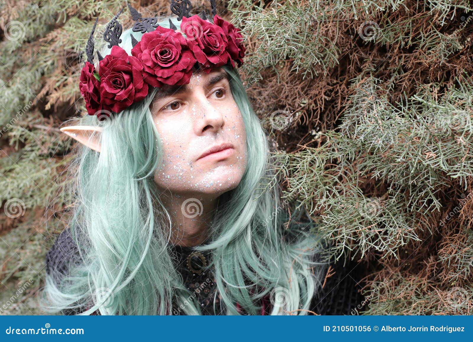 Mythical Male Elf in the Forest Stock Photo - Image of flowers ...