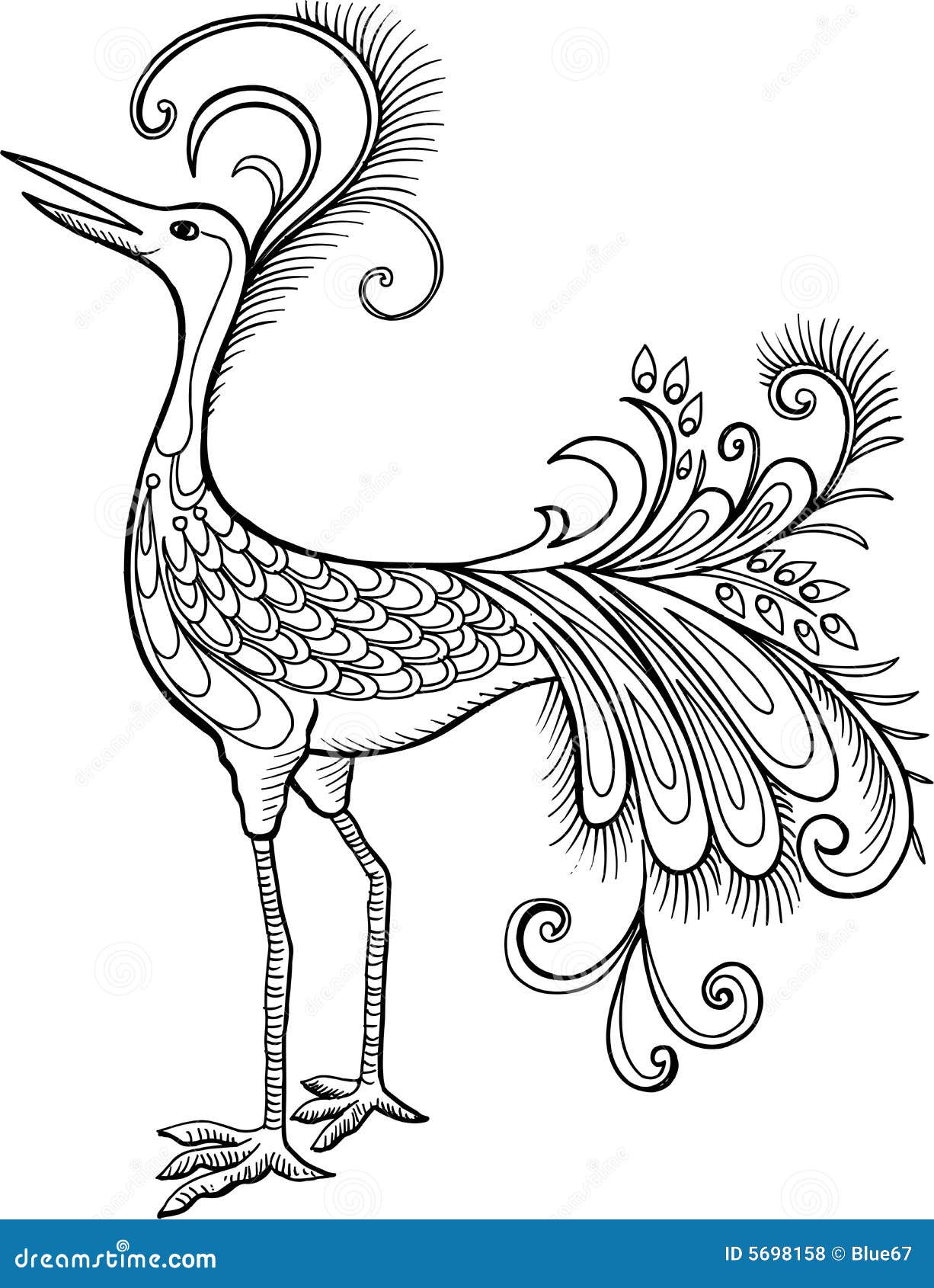 Mythological Bird Vector Illustration Stock Vector - Illustration of ...