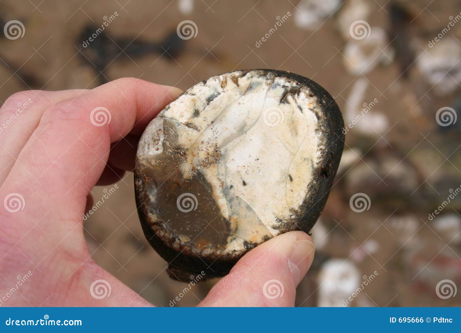 Nódulo del pedernal foto de archivo. Imagen de arena, rocas - 695666