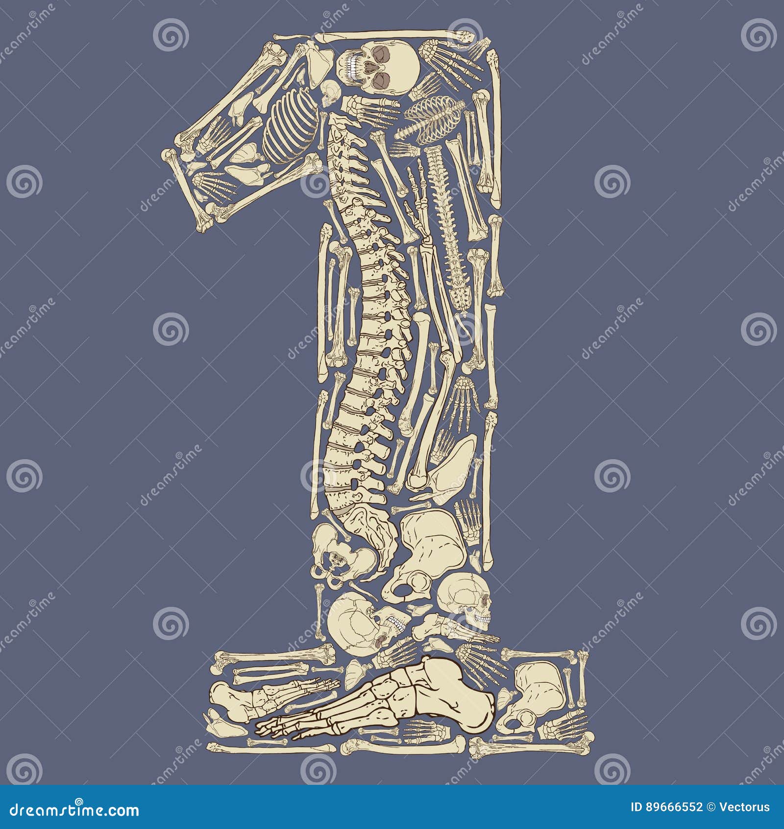 Número Dado Forma Esqueleto Um Ilustração do Vetor - Ilustração de ...