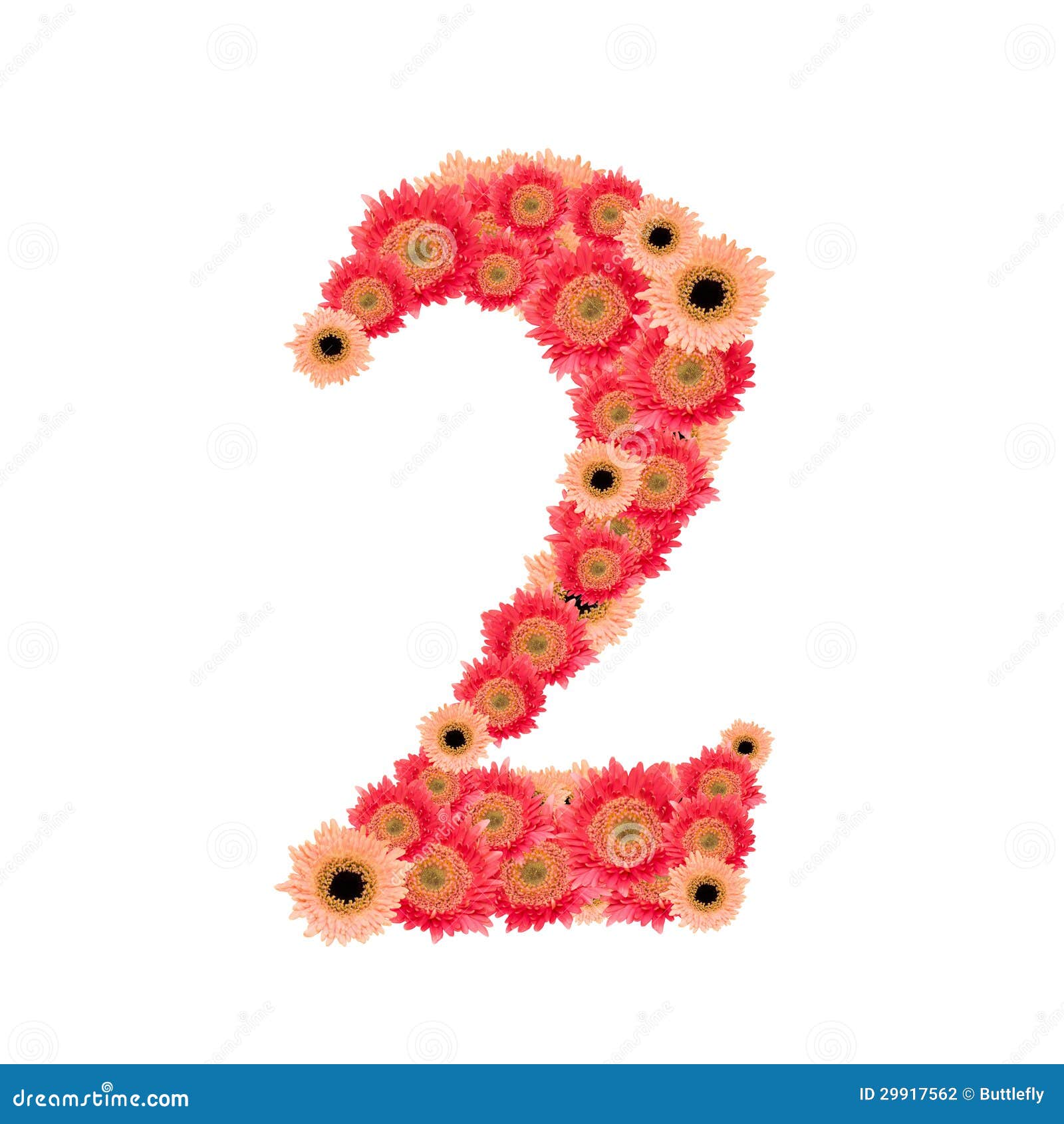 Número 2 stock de ilustración. Ilustración de margaritas - 29917562