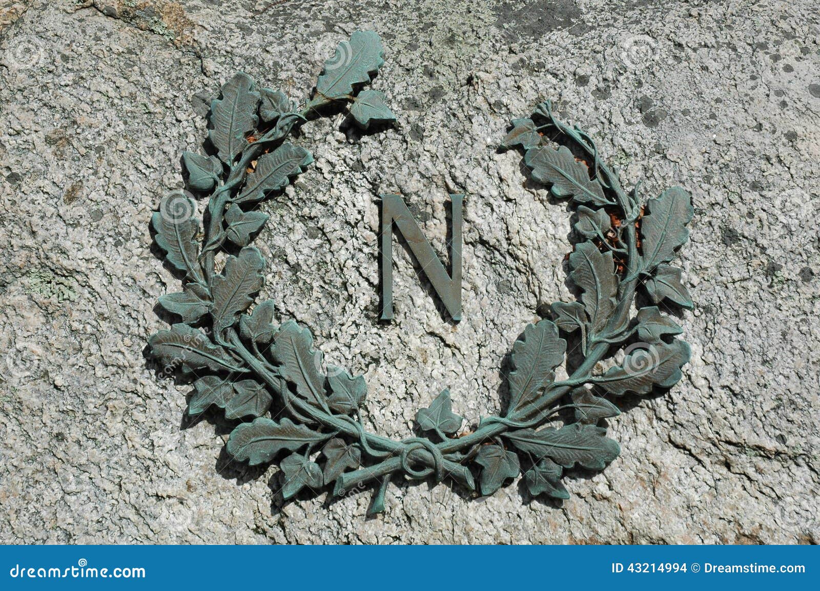 N Crest stock photo. Image of leaves, green, texture - 43214994