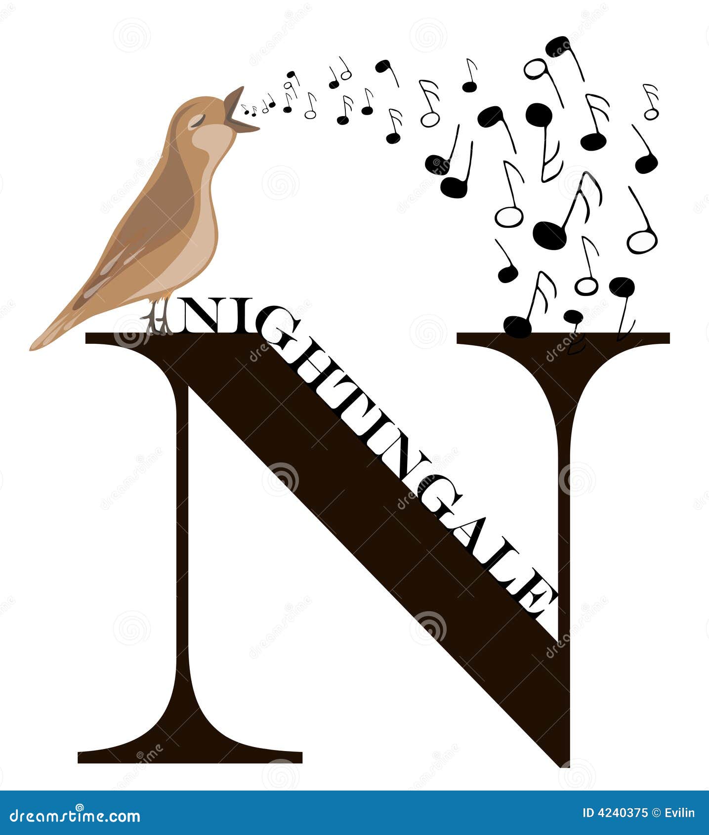 Brown Nightingale Standing Isolated On White Background. Side View ...